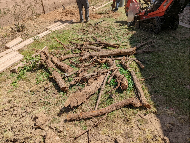 Sissoo Tree Removal - New Height Tree